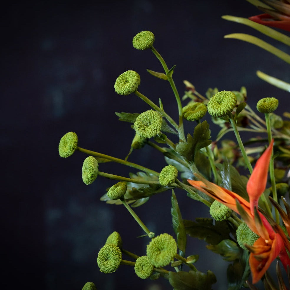 Button Chrysanthemum Masterclass – Arati Mirji