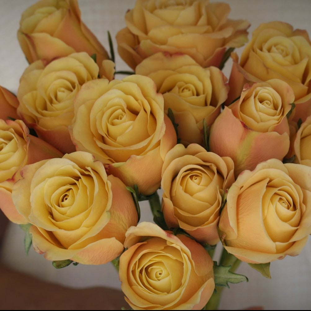 Yellow/ Peach Rose Masterclass – Arati Mirji